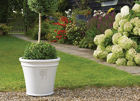 Buy garden pots and containers | RHS Plants