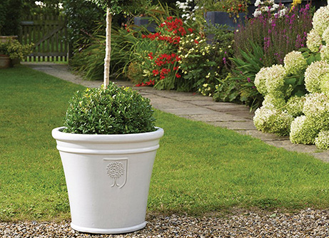 Buy garden pots and containers | RHS Plants