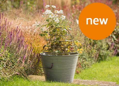 Buy garden pots and containers | RHS Plants