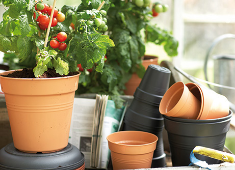 Buy garden pots and containers | RHS Plants