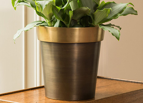 Buy garden pots and containers | RHS Plants