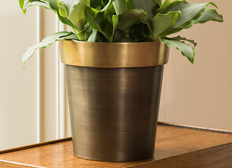 Buy garden pots and containers | RHS Plants