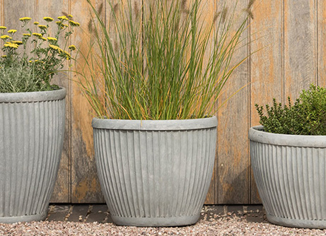Buy garden pots and containers | RHS Plants