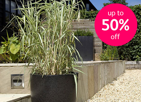 Buy garden pots and containers | RHS Plants