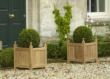 Buy garden pots and containers | RHS Plants