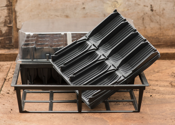 Buy Deep rootrainers