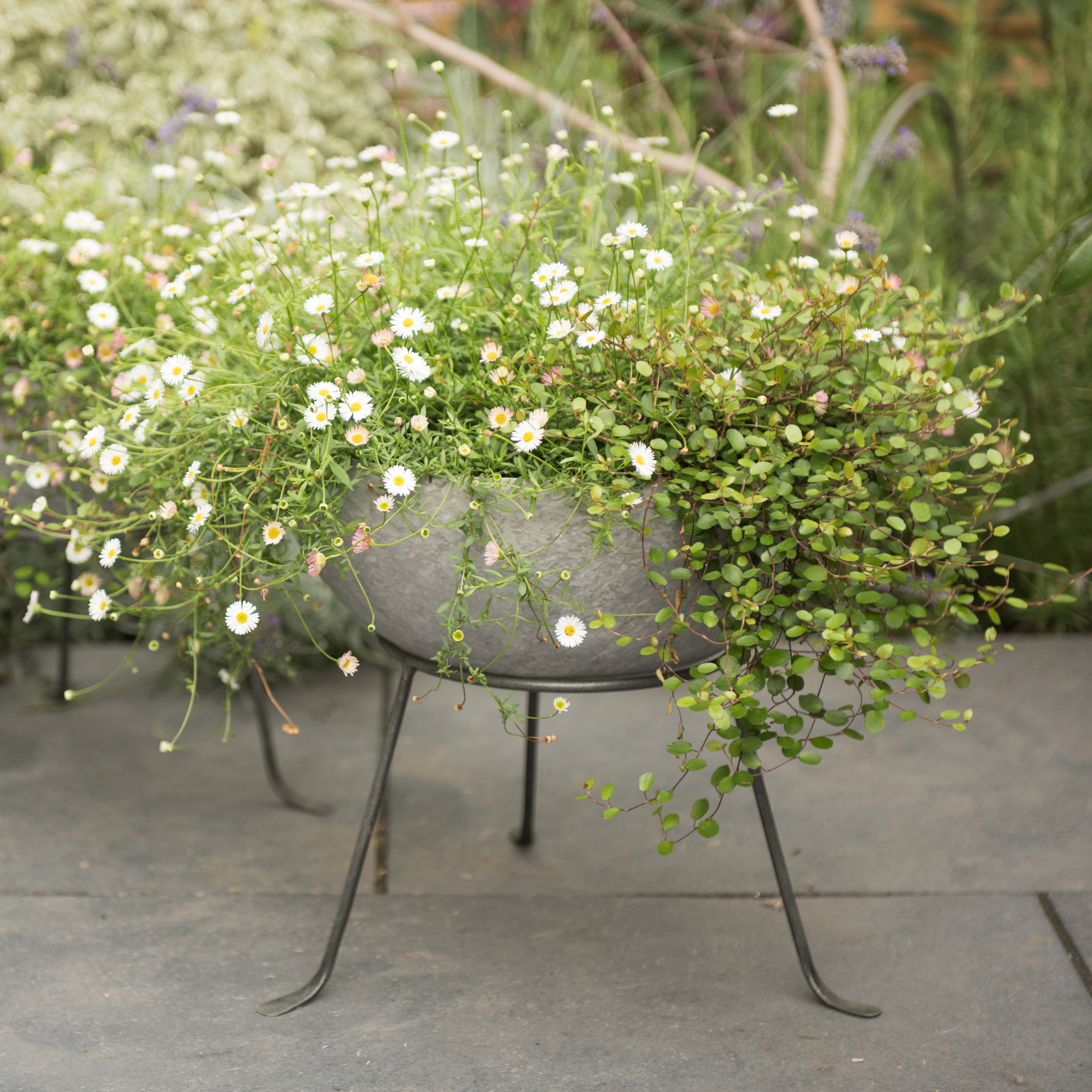 Buy Sphere planter with stand